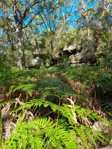 Best Hikes and Trails in Currarong | AllTrails