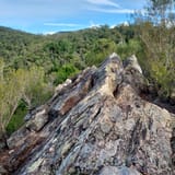Pages Pinnacle , Queensland, Australia - 1,392 Reviews, Map | AllTrails