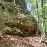 Rim Rock Recreational Trail, Illinois - 737 Reviews, Map | AllTrails