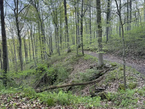 Best Hikes and Trails in French Lick | AllTrails
