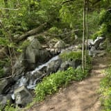 Turkey Run Potomac Heritage Trail, Virginia - 1,389 Reviews, Map ...