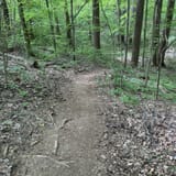 Turkey Run Potomac Heritage Trail, Virginia - 1,389 Reviews, Map ...