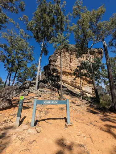 Best Moderate Trails in White Rock | AllTrails