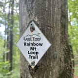 Rainbow Mountain Loop, Alabama - 1,752 Reviews, Map | AllTrails