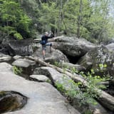 Dog Slaughter Falls Trail, Kentucky - 1,592 Reviews, Map | AllTrails