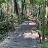 Mud Springs Trail, Florida - 197 Reviews, Map | AllTrails