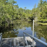Mud Springs Trail, Florida - 197 Reviews, Map | AllTrails