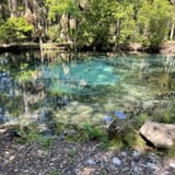 Mud Springs Trail, Florida - 197 Reviews, Map | AllTrails
