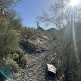 Freedom Trail (#302), Arizona - 4,387 Reviews, Map | AllTrails