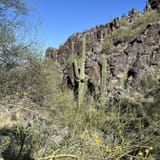 Freedom Trail (#302), Arizona - 4,387 Reviews, Map | AllTrails