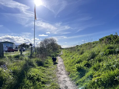 Best Beach Trails in Seahouses | AllTrails