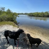 North Anclote River Nature Park Trail, Florida - 191 Reviews, Map ...