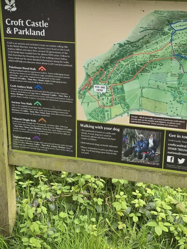 Best Walking Trails in Croft Castle and Parkland | AllTrails