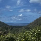 Reef Bay Trail, Saint John, US Virgin Islands - 1,096 Reviews, Map ...