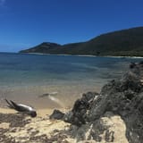 Reef Bay Trail, Saint John, US Virgin Islands - 1,096 Reviews, Map ...