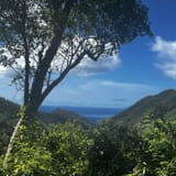 Reef Bay Trail, Saint John, US Virgin Islands - 994 Reviews, Map ...