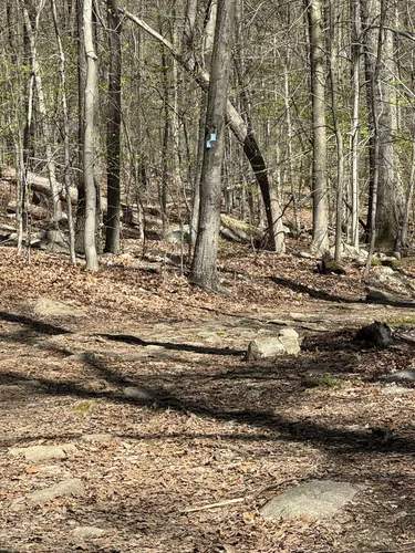 Best Kid Friendly Trails in Mahwah | AllTrails