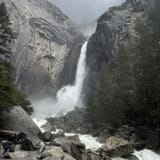 Sentinel Meadow Cook's Meadow Loop Trail, California - 3,024 Reviews ...