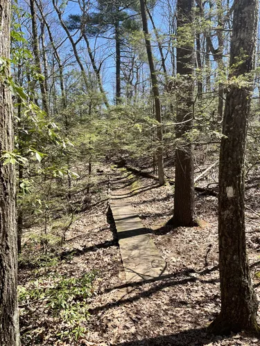 Best Easy Trails in Case Mountain Park | AllTrails