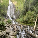 Mingo Falls Trail, North Carolina - 1,757 Reviews, Map | AllTrails
