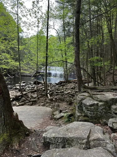 Best Historic Site Trails in Prentice Cooper State Forest | AllTrails