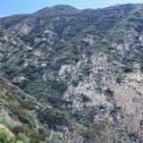 Altadena Crest Trail, California - 662 Reviews, Map | AllTrails