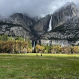 Sentinel Meadow Cook's Meadow Loop Trail, California - 3,107 Reviews ...