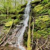 Max Patch Loop, North Carolina - 2,190 Reviews, Map | AllTrails