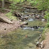 Turkey Run Potomac Heritage Trail, Virginia - 1,389 Reviews, Map ...
