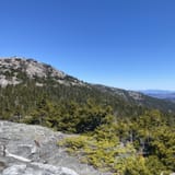 Mount Cardigan Loop Trail, New Hampshire - 2,000 Reviews, Map | AllTrails