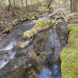 Audubon Loop Trail, Pennsylvania - 1,507 Reviews, Map | AllTrails