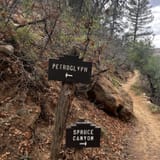 Spruce Canyon Trail, Colorado - 373 Reviews, Map | AllTrails