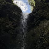 Trail 121: Waterfall Loop, Washington - 973 Reviews, Map | AllTrails