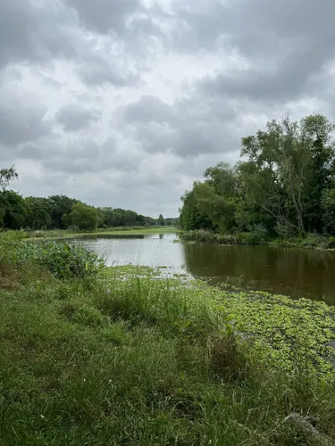 Best Wildlife Trails in Rosharon | AllTrails