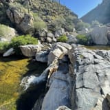 Tanque Verde Falls Trail, Arizona - 2,781 Reviews, Map | AllTrails