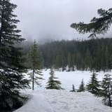 Talapus and Olallie Lakes via Talapus Lake Trail, Washington - 4,063 ...