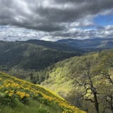 Weldon Wagon Road Trail, Washington - 532 Reviews, Map | AllTrails