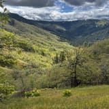 Weldon Wagon Road Trail, Washington - 532 Reviews, Map | AllTrails
