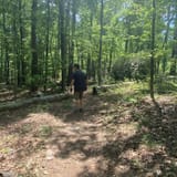 Bartram Trail: West Dam Recreation Area to Washington Road, South ...