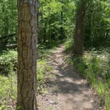 Bartram Trail: West Dam Recreation Area to Washington Road, South ...