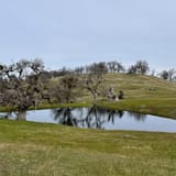 Murietta Falls Trail, California - 826 Reviews, Map | AllTrails