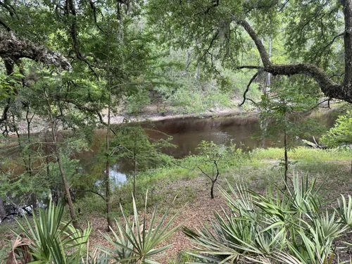 Best Hikes and Trails in Trilby | AllTrails