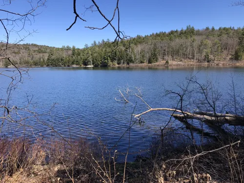 Best Forest Trails in West Lebanon | AllTrails