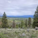 Manastash Ridge Trail, Washington - 680 Reviews, Map | AllTrails