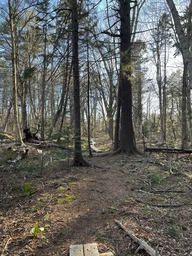 Best Hikes and Trails in Libby River Farm Preserve | AllTrails