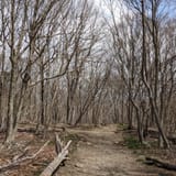 Hawksbill Loop Trail, Virginia - 4,324 Reviews, Map | AllTrails