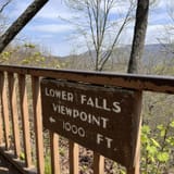 Rose River Trail, Virginia - 4,597 Reviews, Map | AllTrails