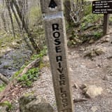 Rose River Trail, Virginia - 4,597 Reviews, Map | AllTrails