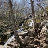 Rose River Trail, Virginia - 4,597 Reviews, Map | AllTrails