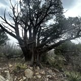 Fatmans Loop Trail, Arizona - 5,199 Reviews, Map | AllTrails